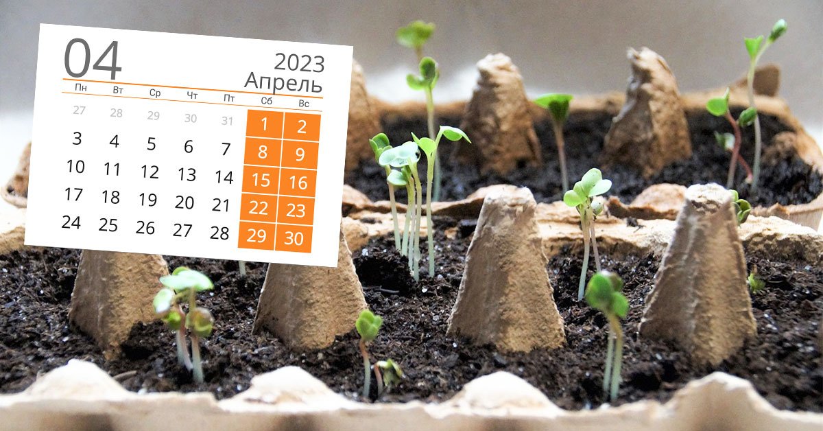 Посевной календарь на апрель 2023 года